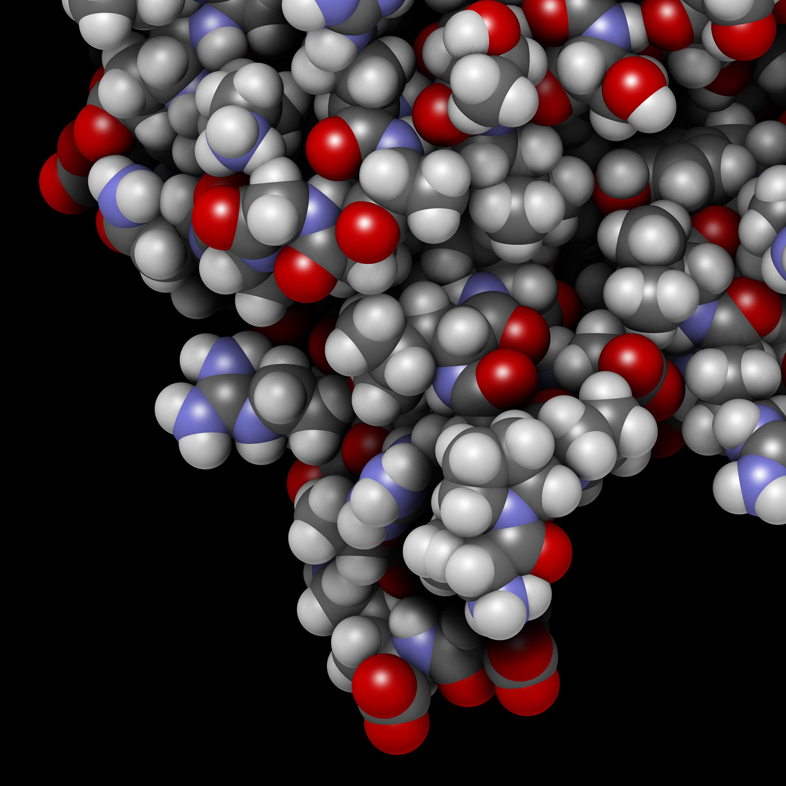 Silica compound - sjsenturin